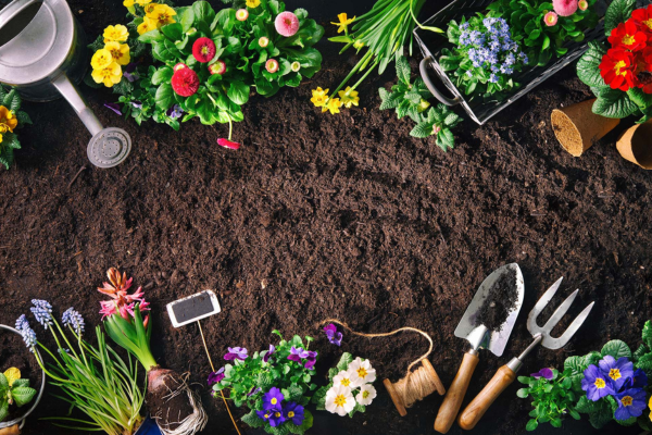 Cape Cod Gardening in April - Agway of Cape Cod