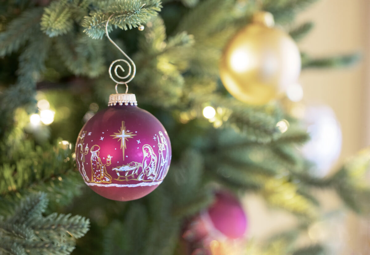 How To Prolong The Life Of Your Christmas Tree - Agway of Cape Cod