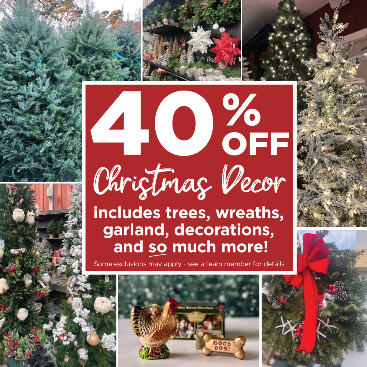 Flyer Sales - Agway of Cape Cod