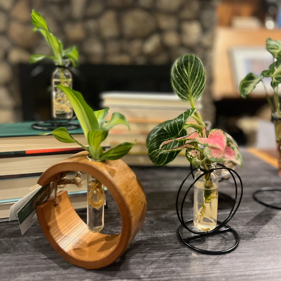 Bring Your Garden Indoors with Hydroponics - Agway of Cape Cod