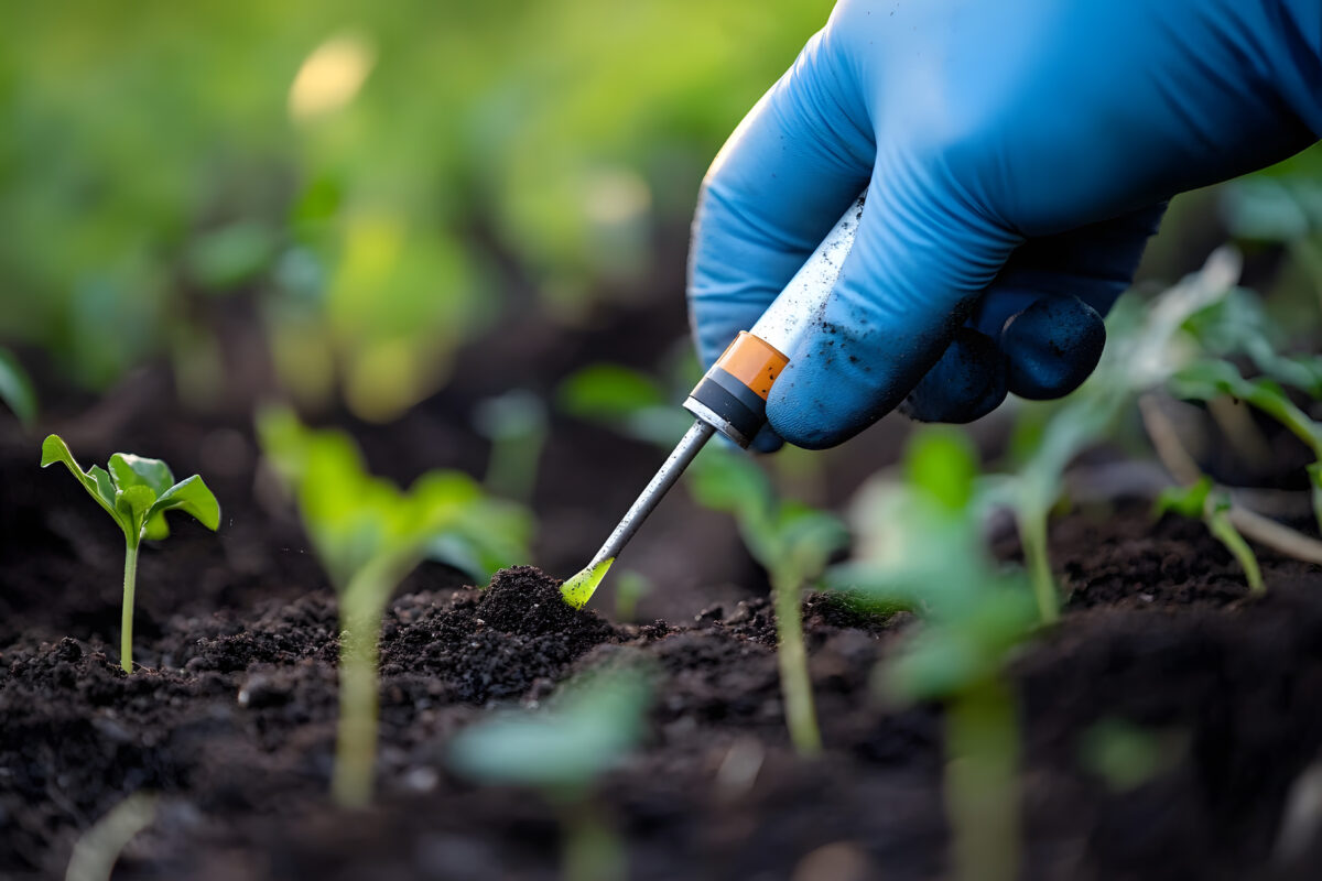 Spring Lawn Care Guide: Fertilizing, Aerating, and Seeding - Agway of ...